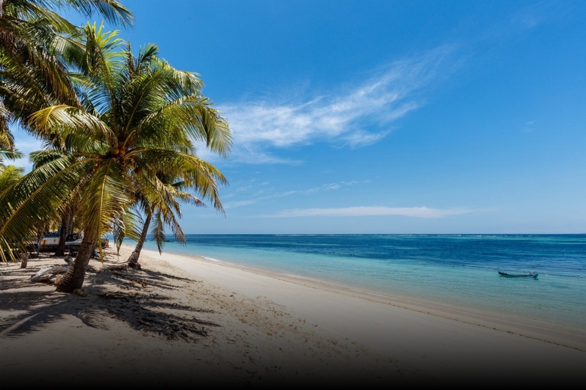 The Hidden Secrets of Rote Island