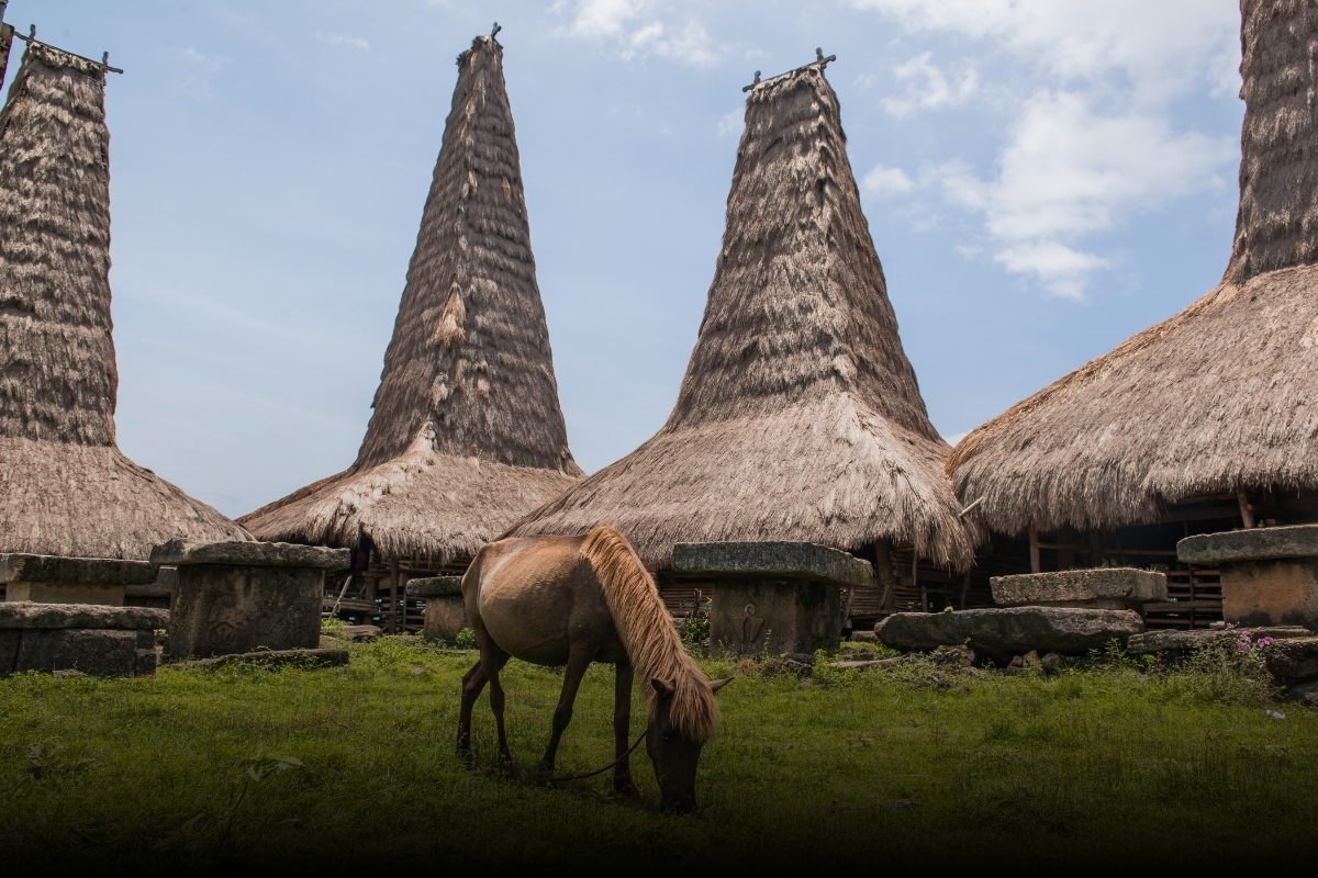 The Beautiful Sumba Island Encounter